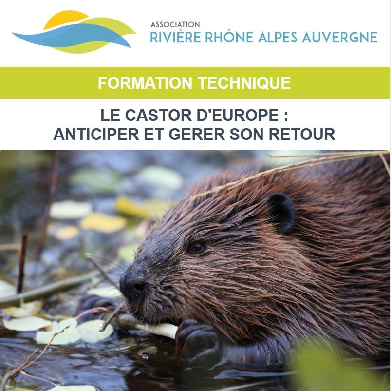 Formation « Le castor d’Europe : anticiper et gérer son retour ...